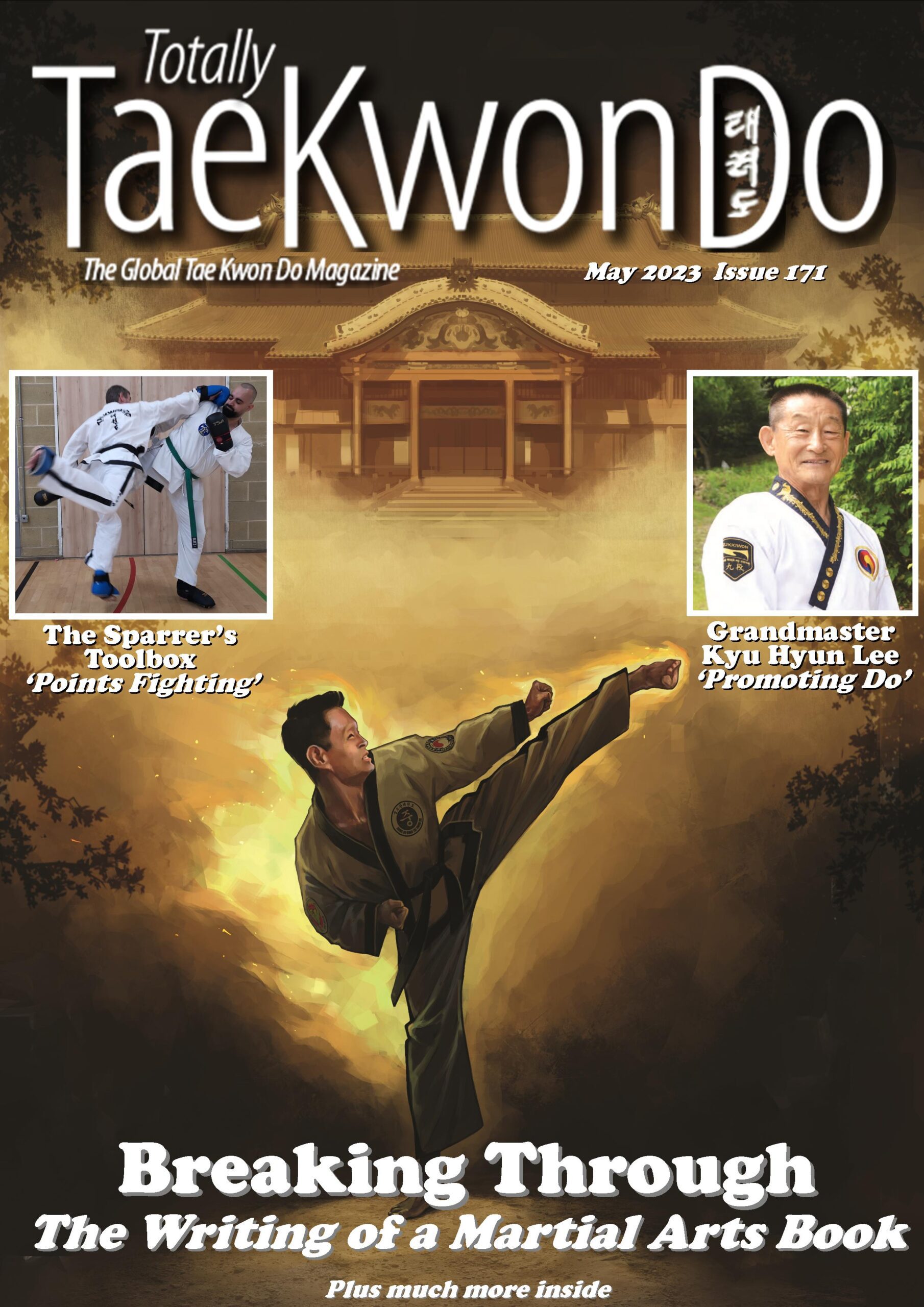 Our Cover Artwork on Totally Taekwondo Magazine - Colin Wee
