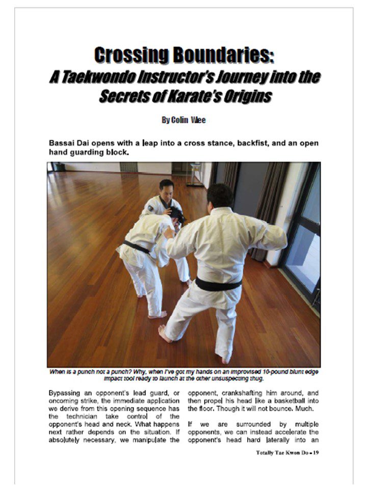 Crossing Boundaries: A Taekwondo Instructor’s Journey into the Secrets ...